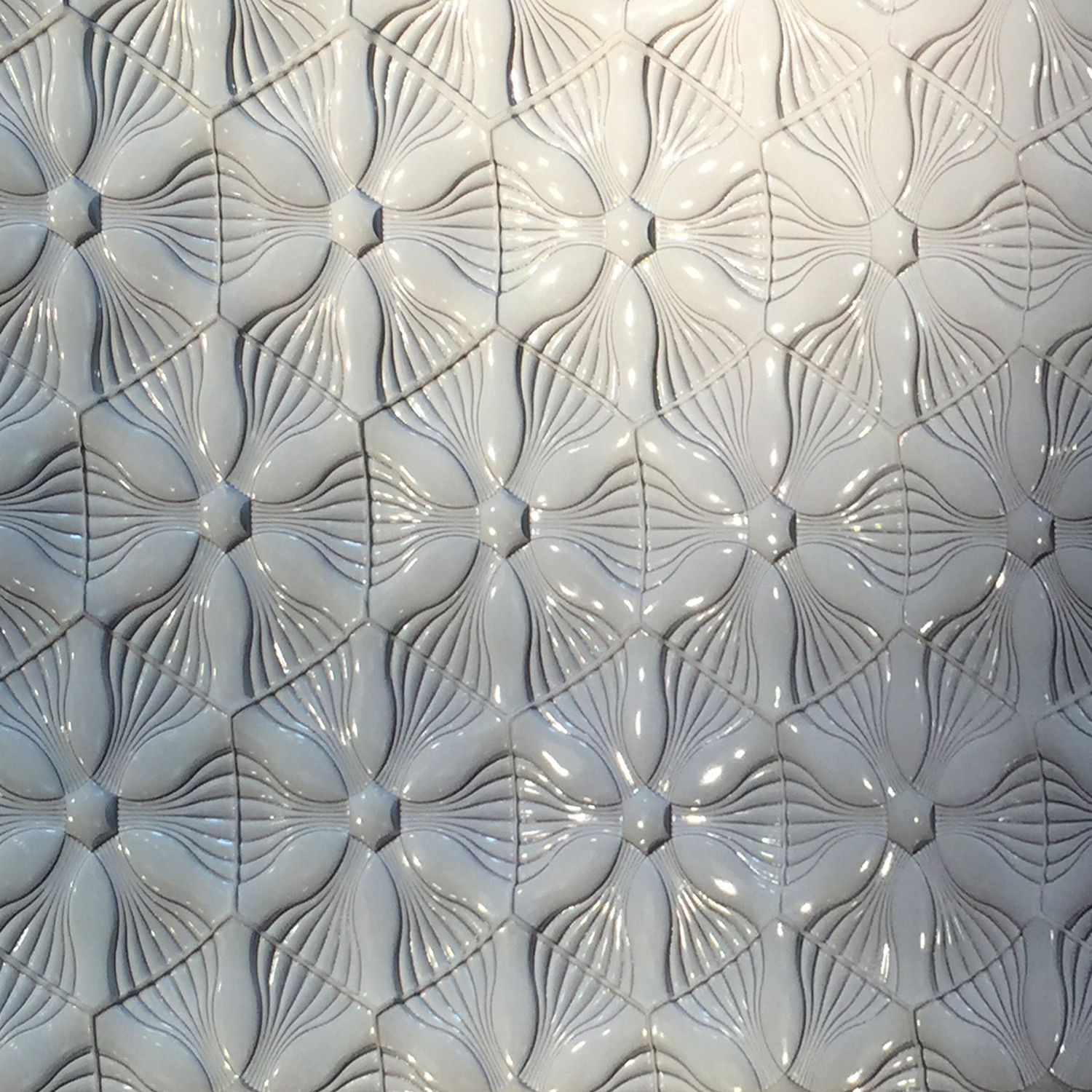 Optic Flow - Ogassian